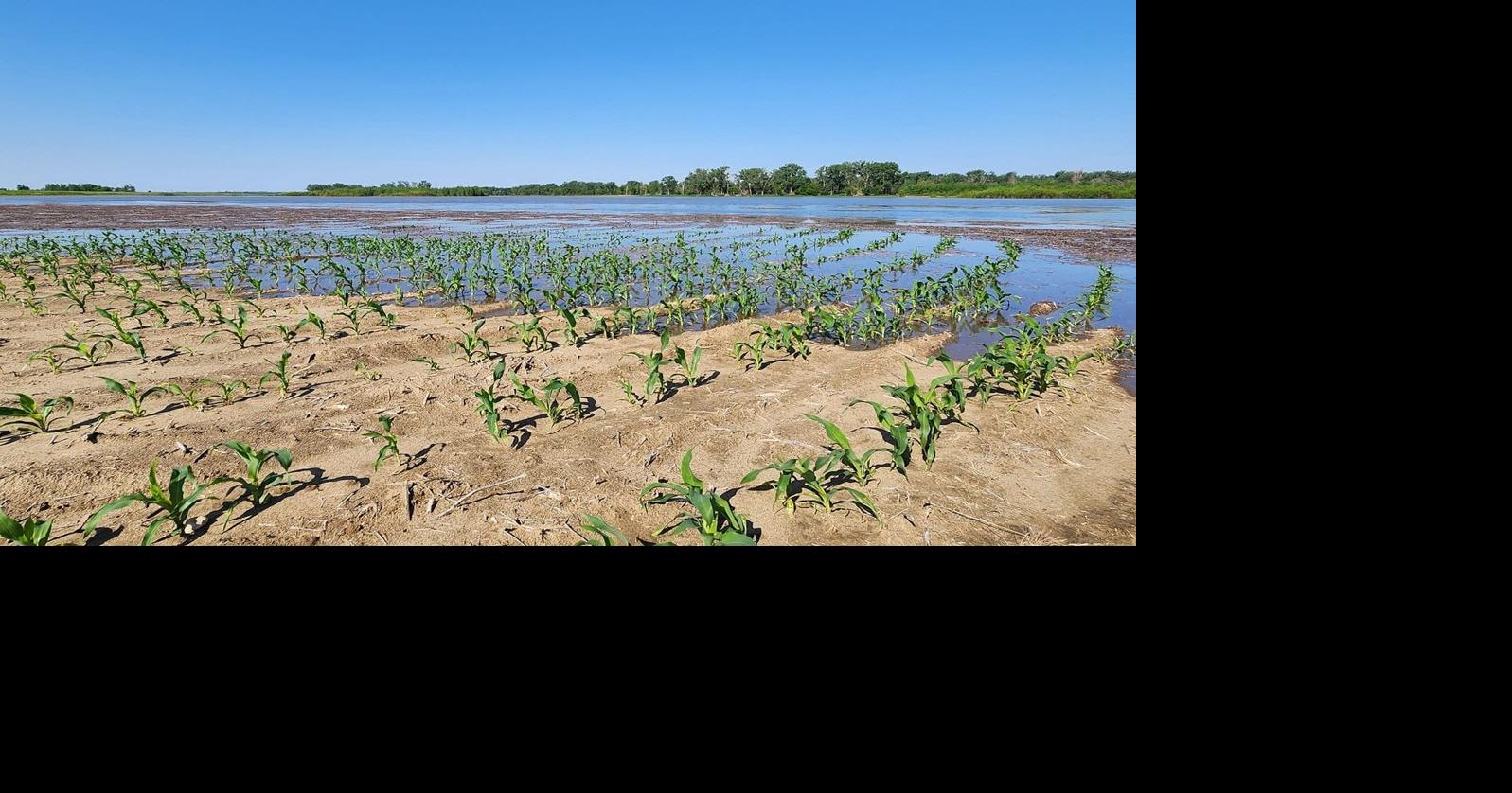 The "Do's and Don'ts" of Flooded Grain | AG | kmaland.com