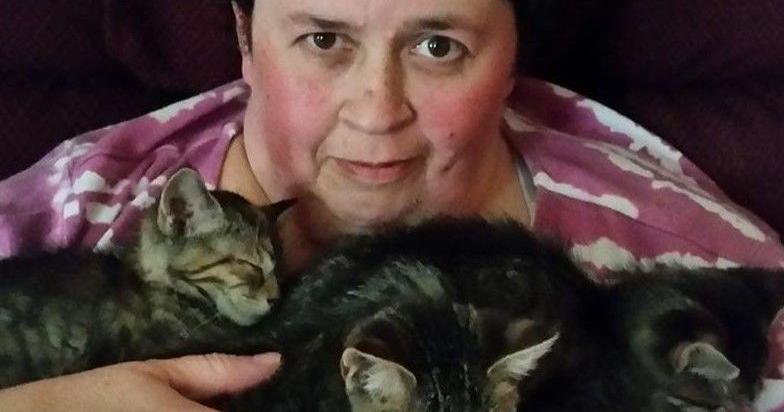 Sheila G. Wooten, 56, Maryville, Missouri | Funerals | kmaland.com
