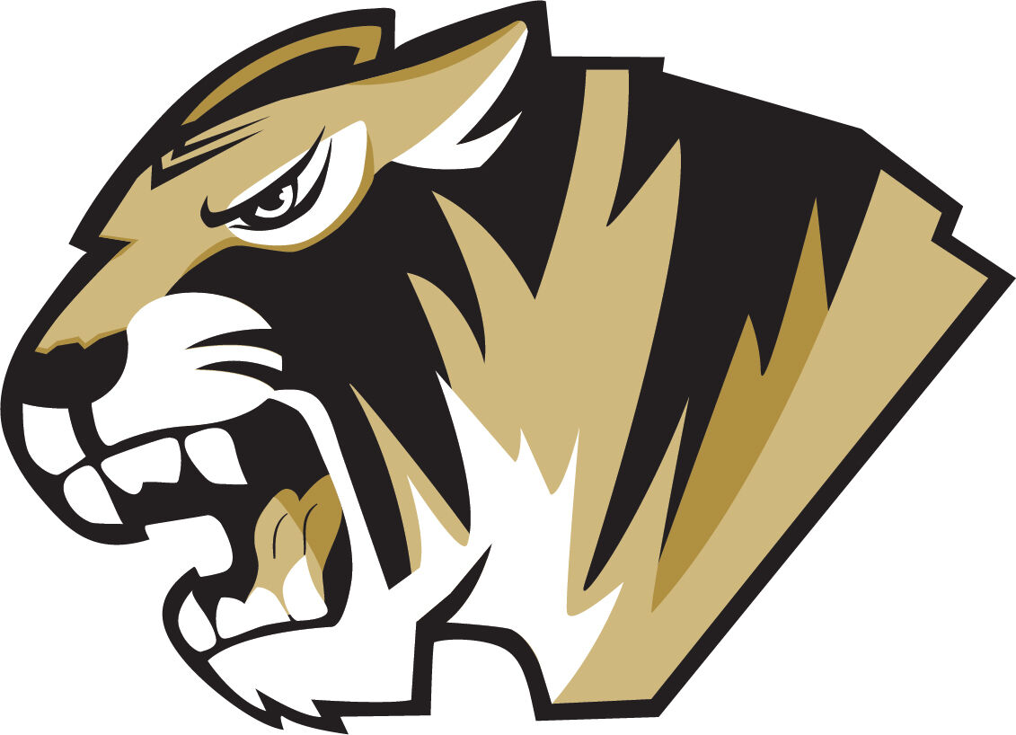 Woodbine boys basketball coach Bartels steps down | Sports | kmaland.com