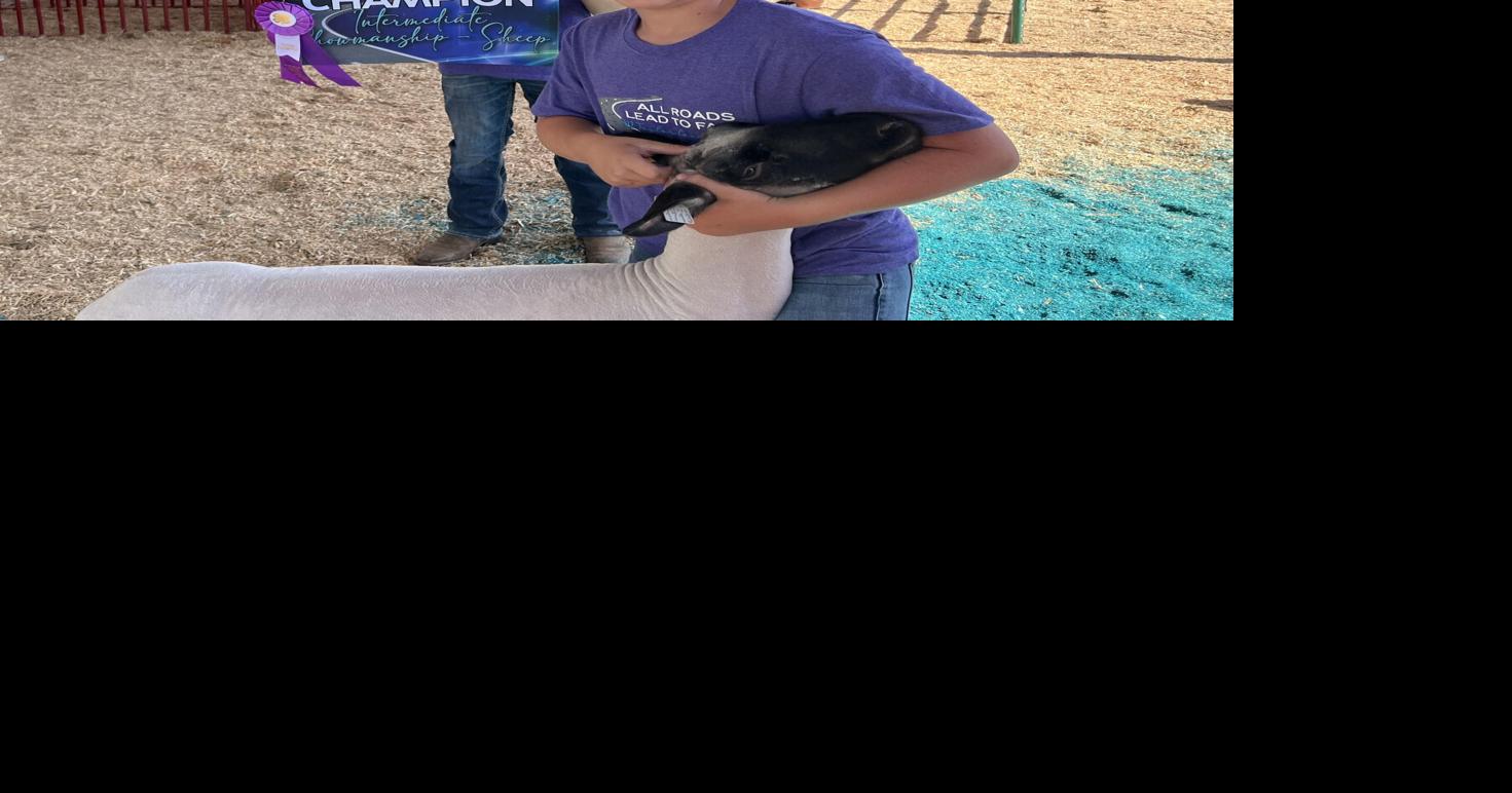 Taylor County Fair underway in Bedford | News | kmaland.com