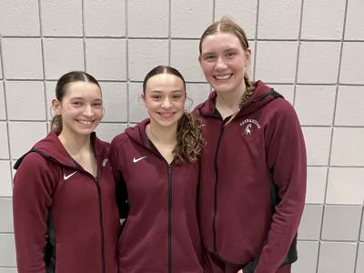 Green's big night, stout defense lift Shenandoah girls past Underwood ...