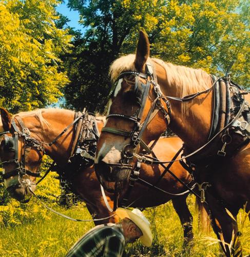 Richard D. Morrical, 76, of Tabor, Iowa | Funerals | kmaland.com