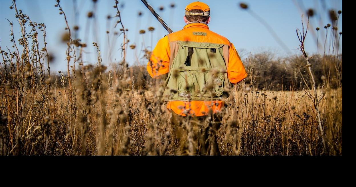 Pheasant, quail seasons underway in Iowa | News | kmaland.com