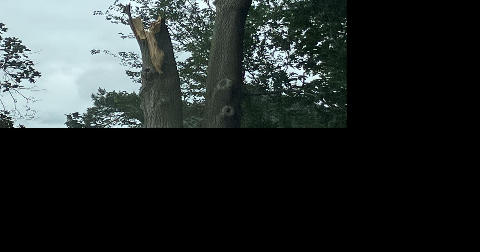 High winds, 'radar confirmed' tornado roll through Cass County | News ...