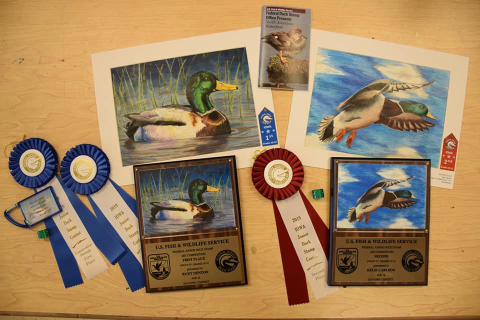 SHS student's artwork wins (duck) stamp of approval | News | kmaland.com