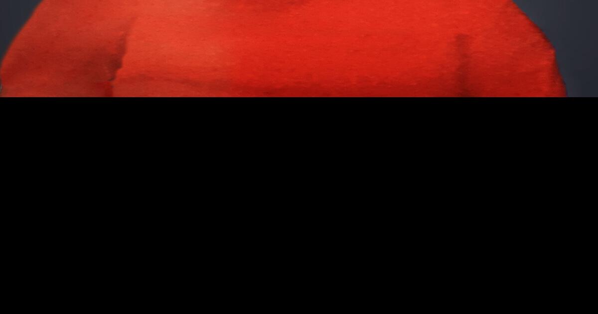 Nancy (Swope) Christensen, Englewood, Florida | Funerals | kmaland.com