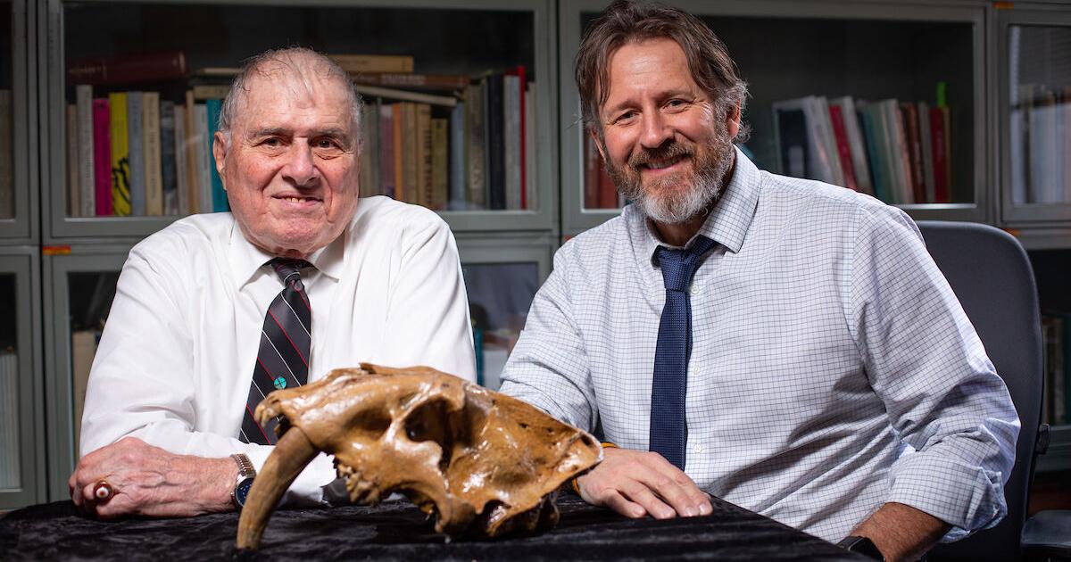 Scientists celebrate Page County sabertooth skull discovery | News ...