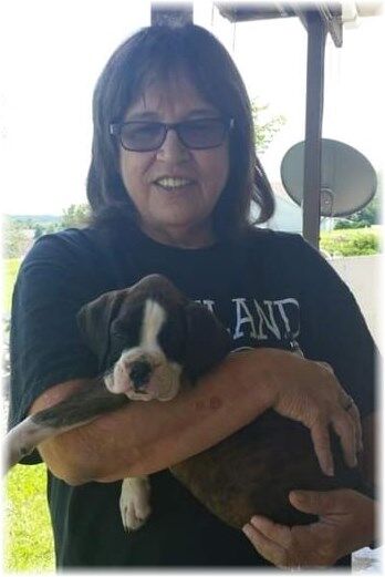 Nancy Higgins, 64, Gravity, Iowa | Funerals | kmaland.com
