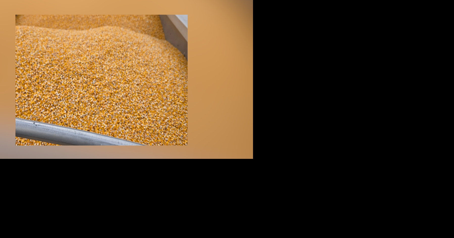 Missouri could see impact from record E15 sales | Farm News | kmzu.com