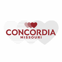Concordia Board of Aldermen approve purchase of flow meters for ...
