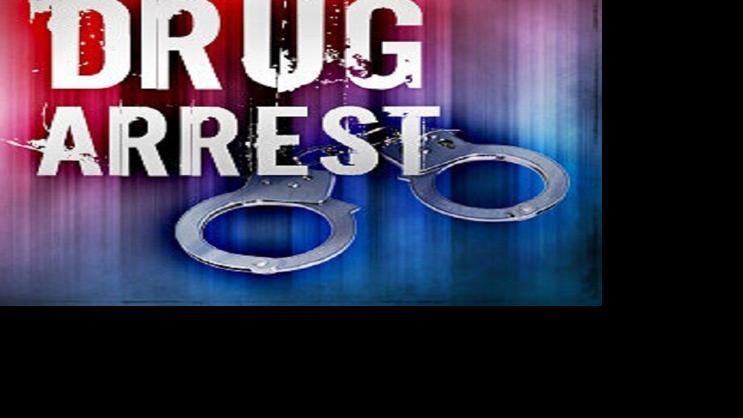 Illinois Man Facing Drug Trafficking Charges in Daviess County | News ...