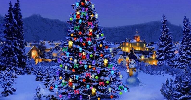 Department of Conservation accepting cut Christmas trees for habitat ...