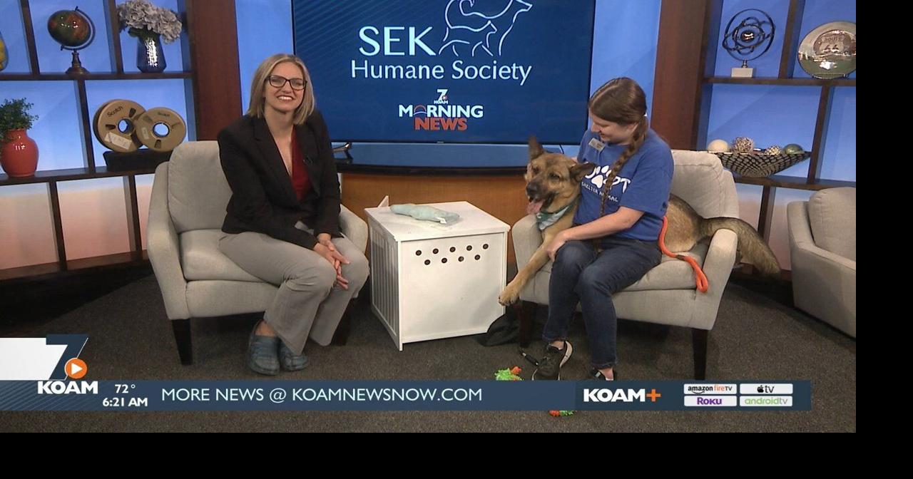 Jasmine Kyle talks forever homes and furry friends | Kansas News ...
