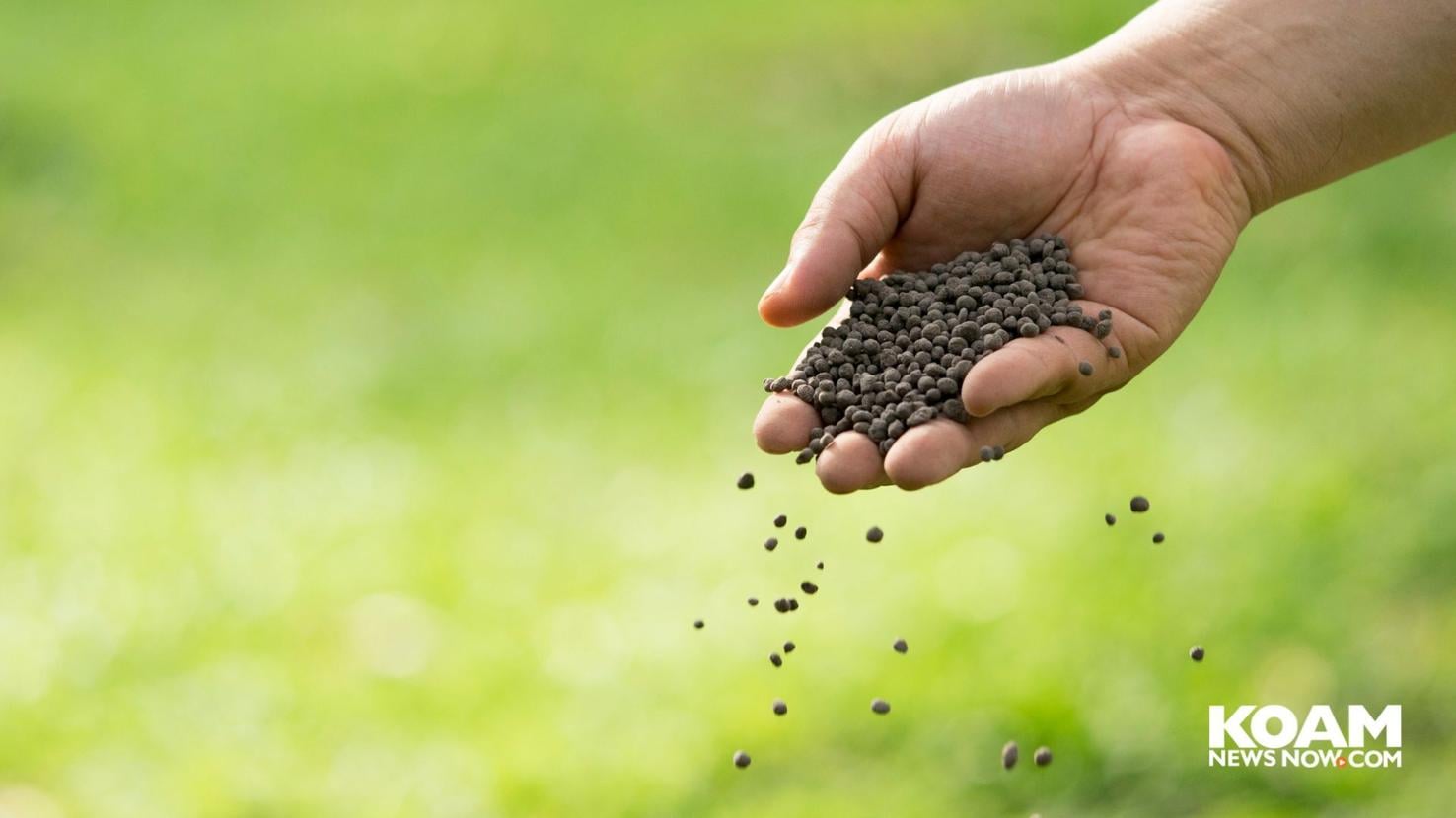 Trump signs proclamation to suspend phosphate fertilizer duties ...
