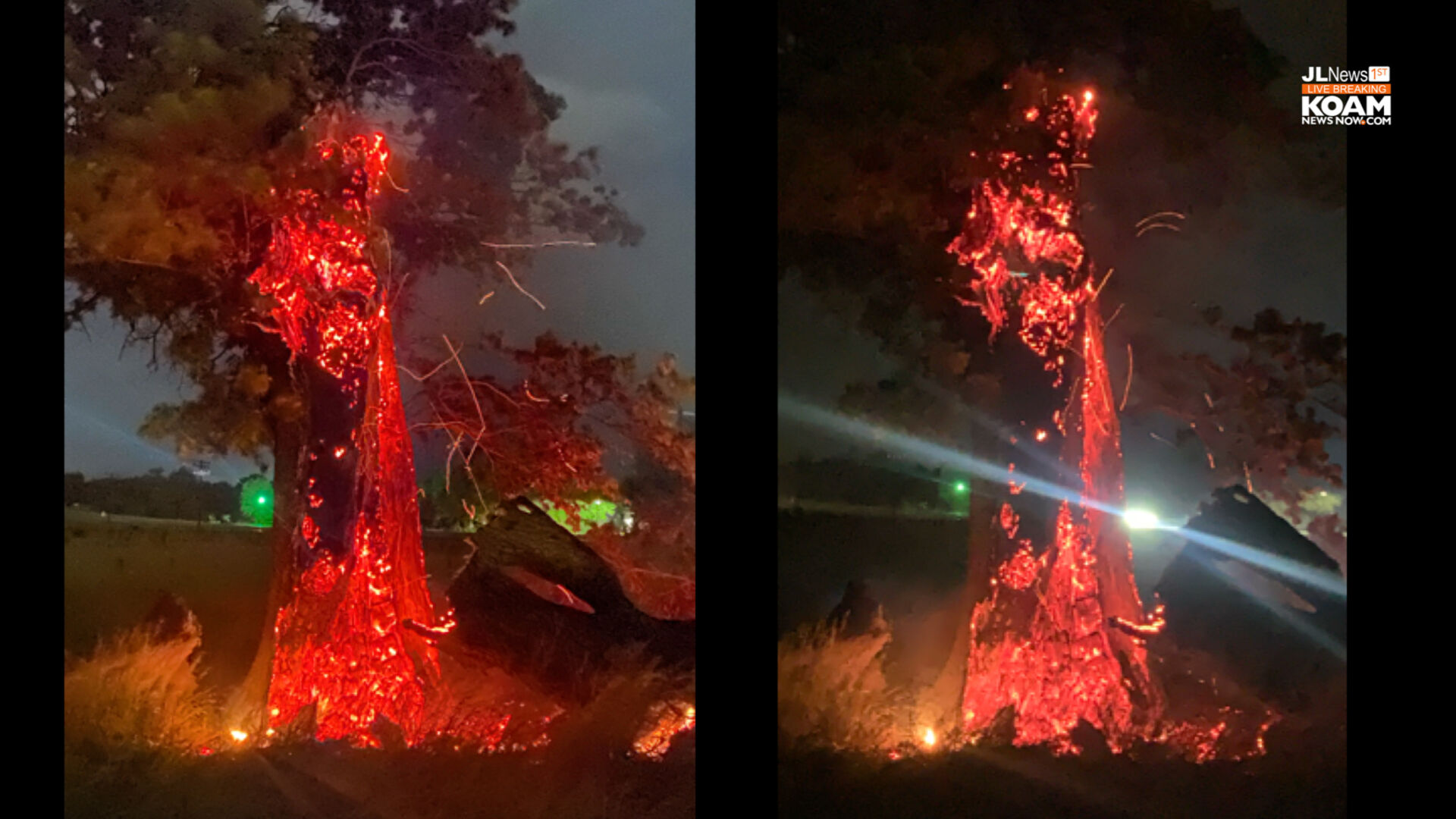 Lightning splits huge tree, sets inside on fire — now glowing | Joplin ...