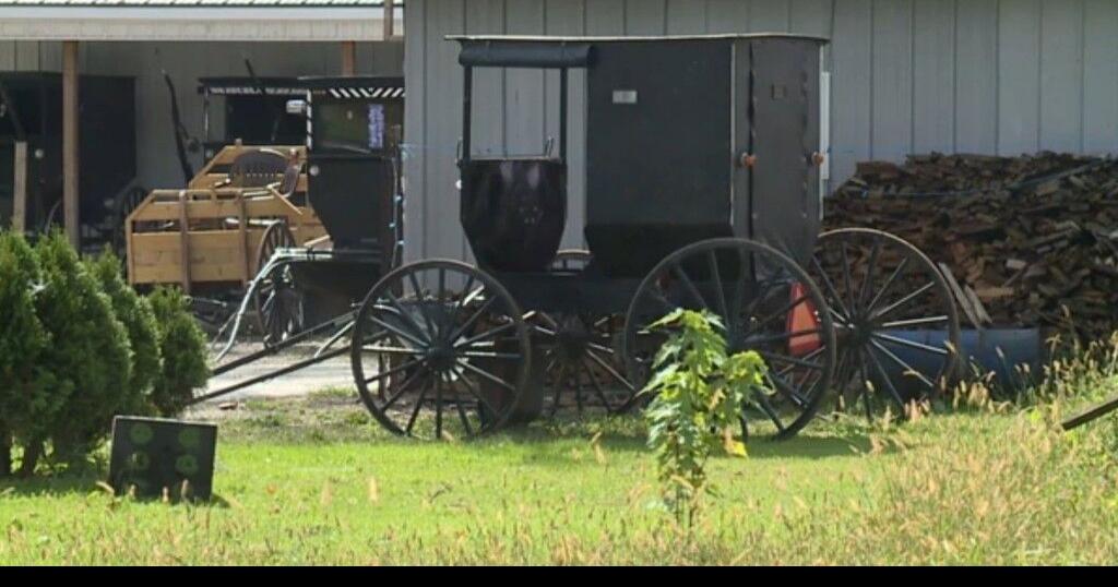 2 Amish men escape police after being pulled over for DUI in buggy ...