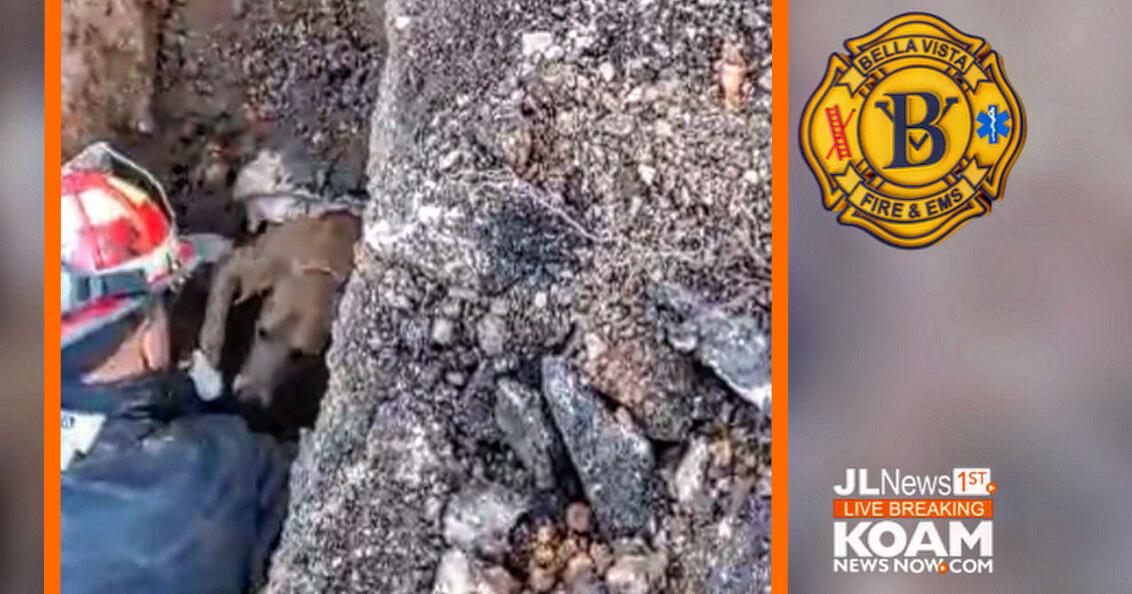Dog stuck in drainage pipe rescued by Fire Dept and Public Works | Joplin News First ...