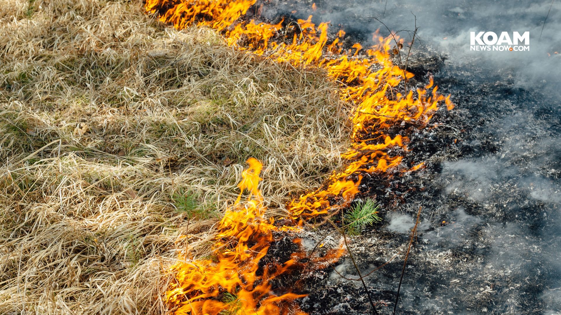Gov. Kelly issues disaster proclamation for fire suppression | Kansas ...