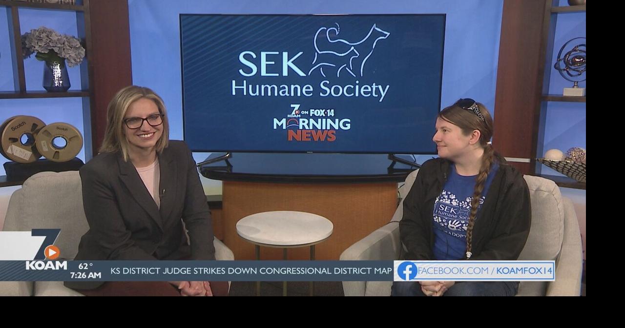 Jasmine Kyle talks about doghouses for a great cause | Morning Show ...
