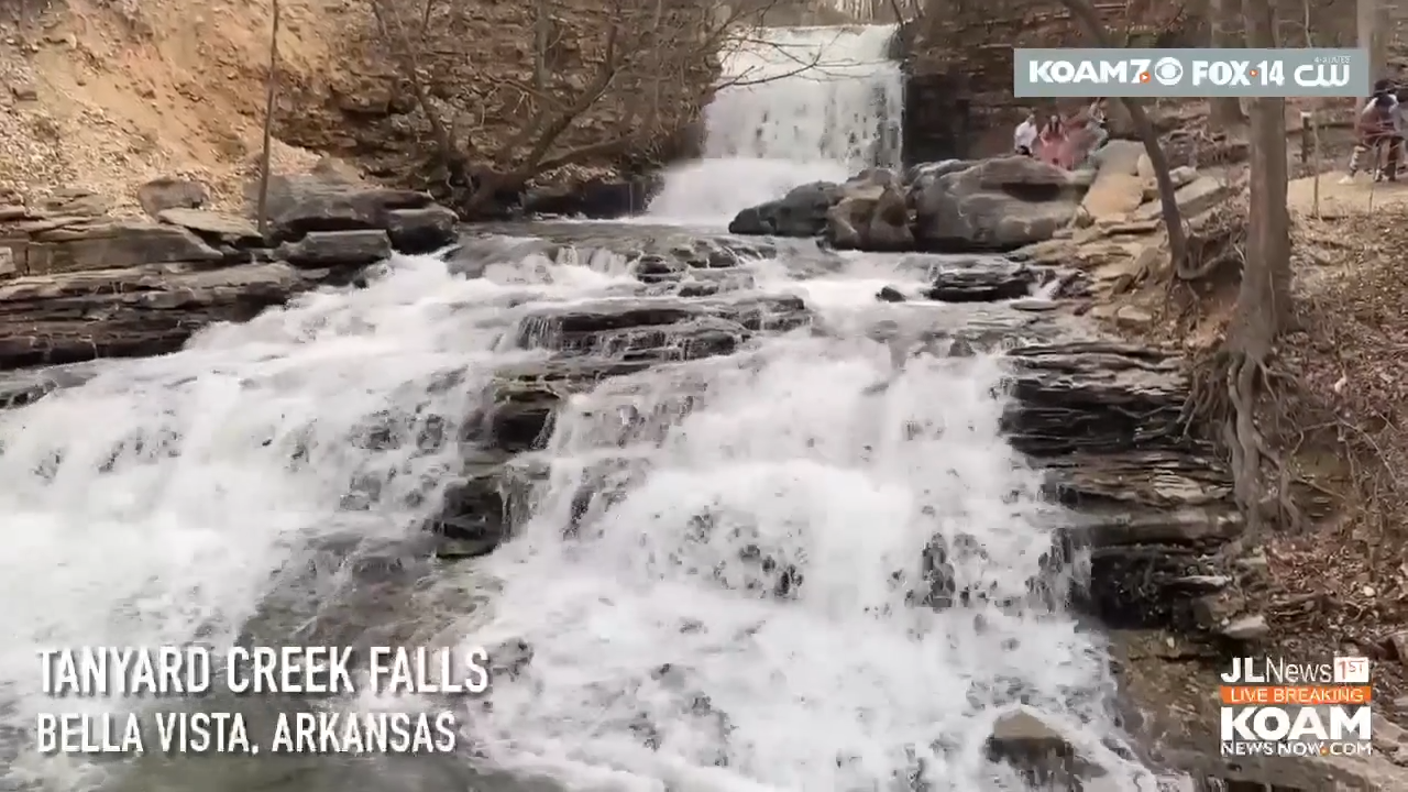 Are Dogs Allowed At Tanyard Creek Ar