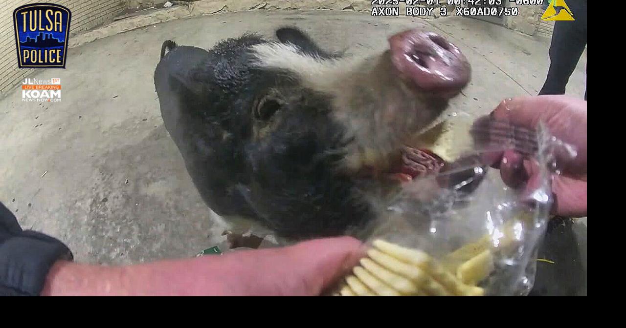 “Cops chasing pigs” quoting Tulsa Police | Joplin News First ...