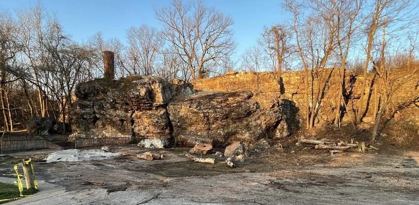 Already-leaning sycamore at Wildcat Park Spring cracked last week, now ...