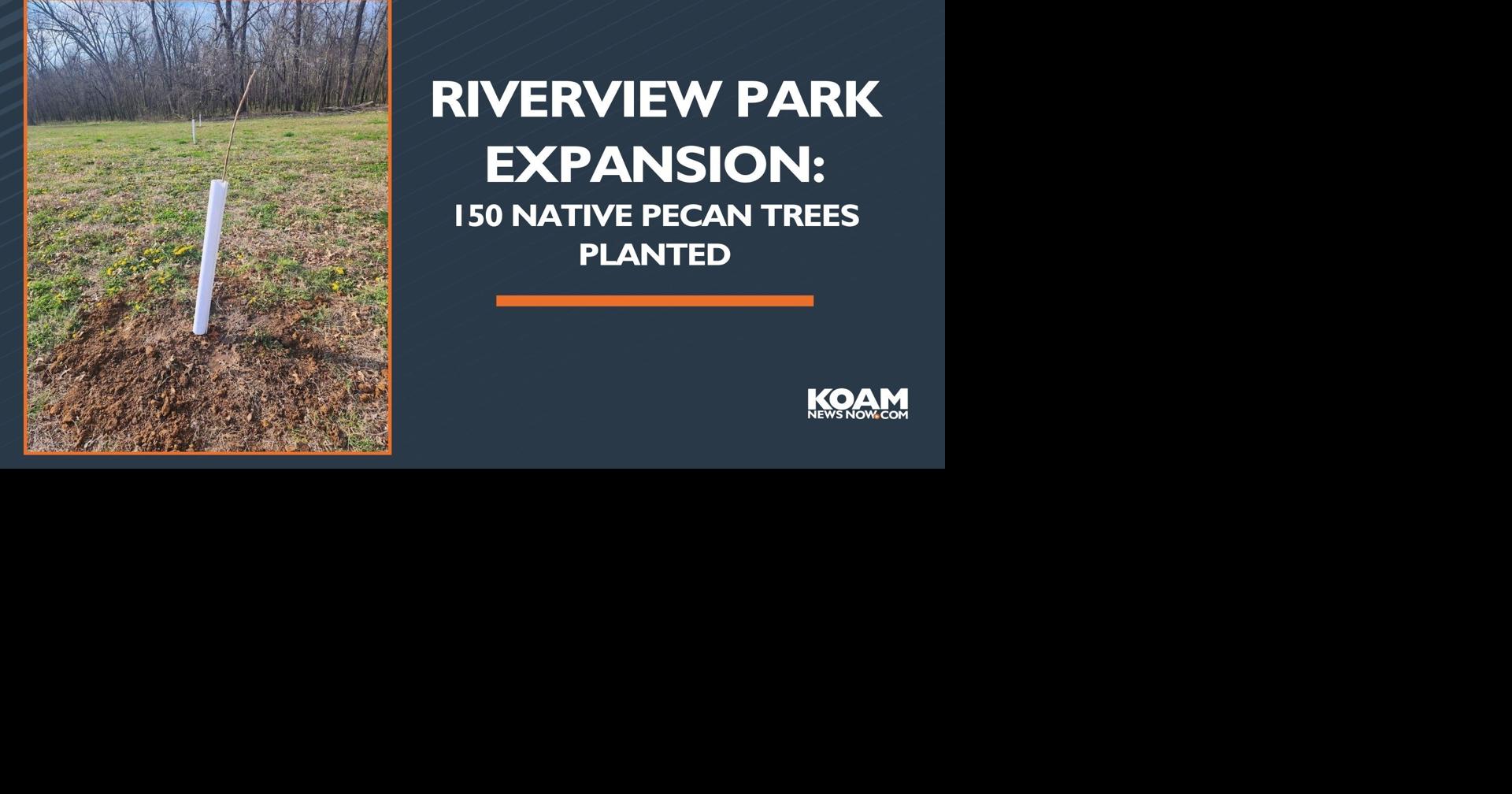 Riverview Park expansion: 150 Native Pecan trees planted, more to ...