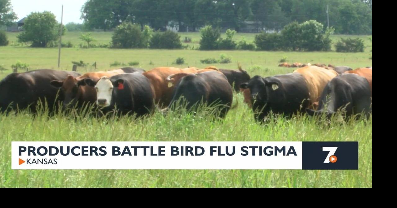Kansas livestock farmers combat bird flu fears amid latest outbreak | 4 ...