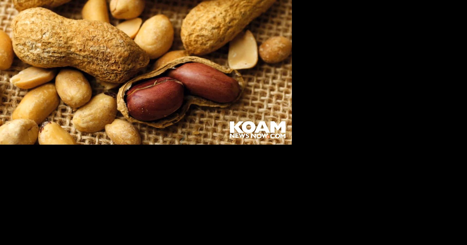 Introducing peanuts early reduces allergy risk, Study finds | | koamnewsnow.com