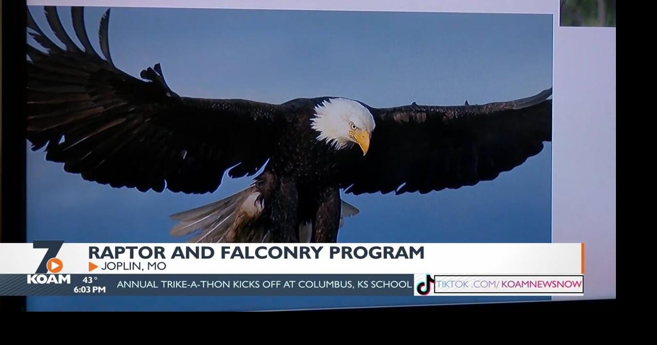 Local wildlife group hosts educational falconry program | Lifestyle ...