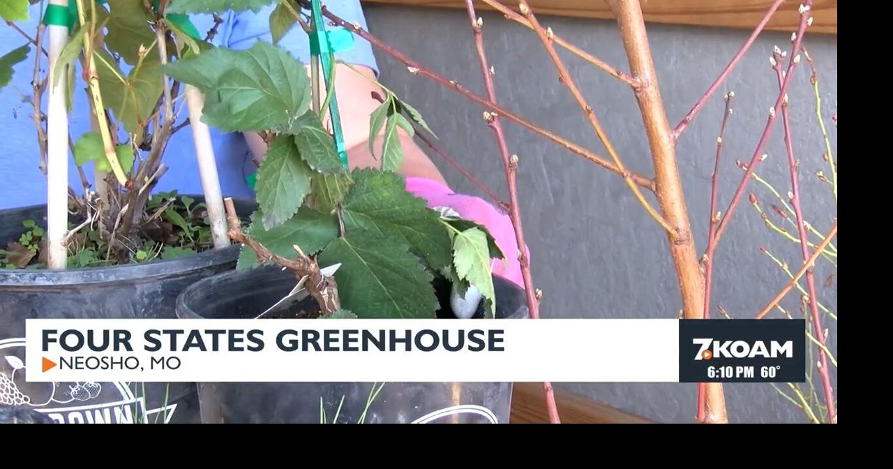 Prepping spring plants during the winter | Video | koamnewsnow.com