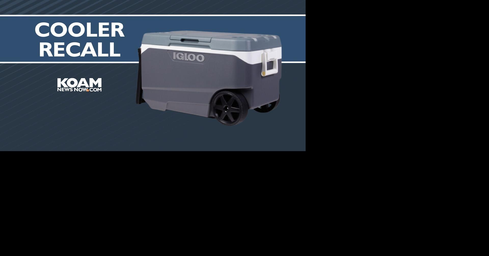 Igloo recalls 1M+ coolers due to amputation, crushing hazard | Recalls ...