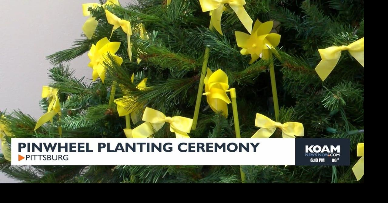 TFI marks National Reunification Month with Pinwheel-Planting Ceremony ...
