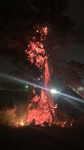 Lightning splits huge tree, sets inside on fire — now glowing | Joplin ...
