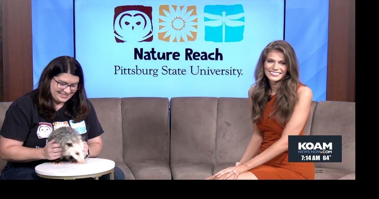 PSU Nature Reach - Possums and the Ecosystem | Morning Show ...