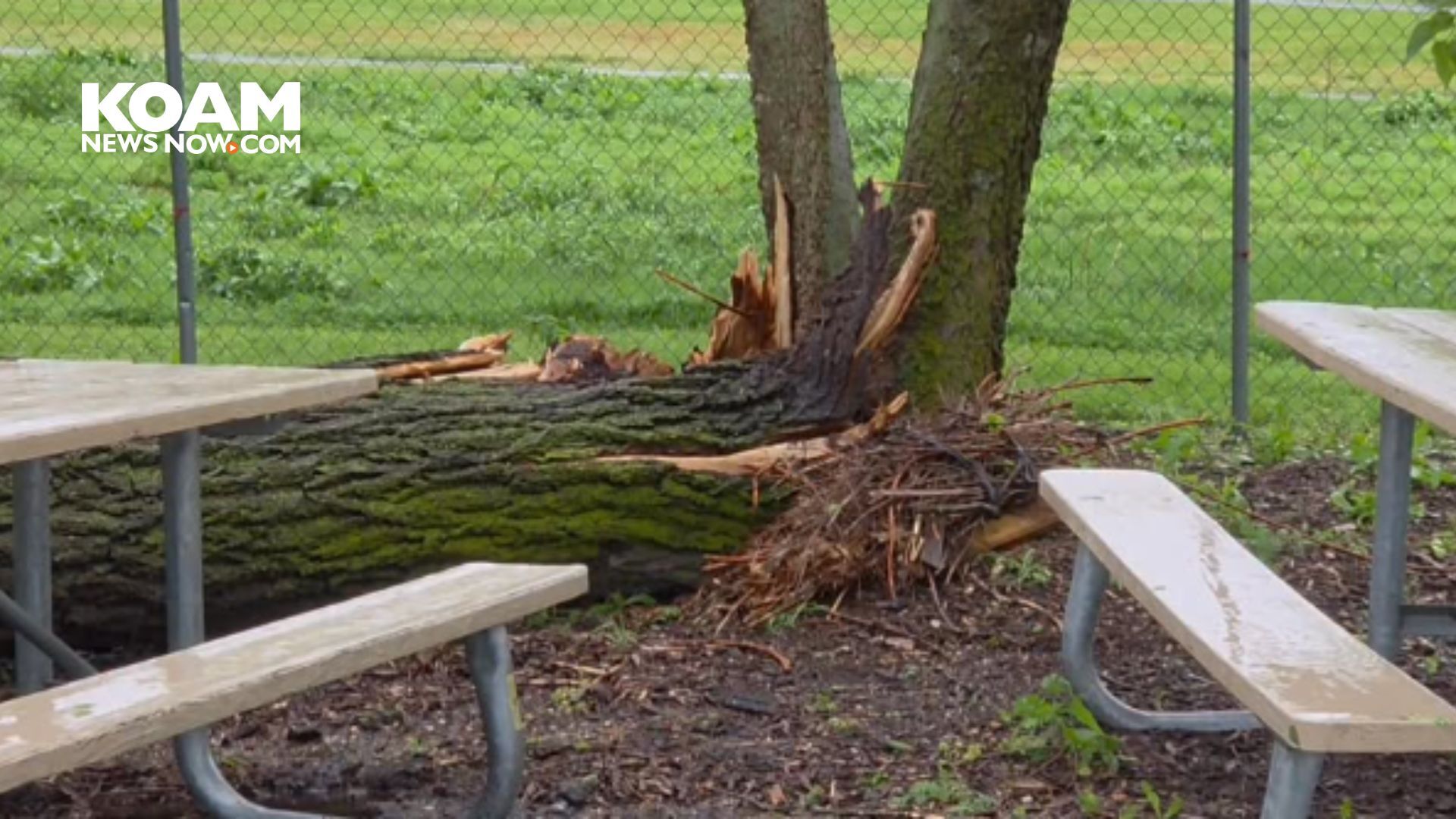 KOAM Team Coverage: Strong storms cause damage in 4-States area ...