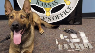 K9 helps police locate illegal narcotics during Independence, Kan ...