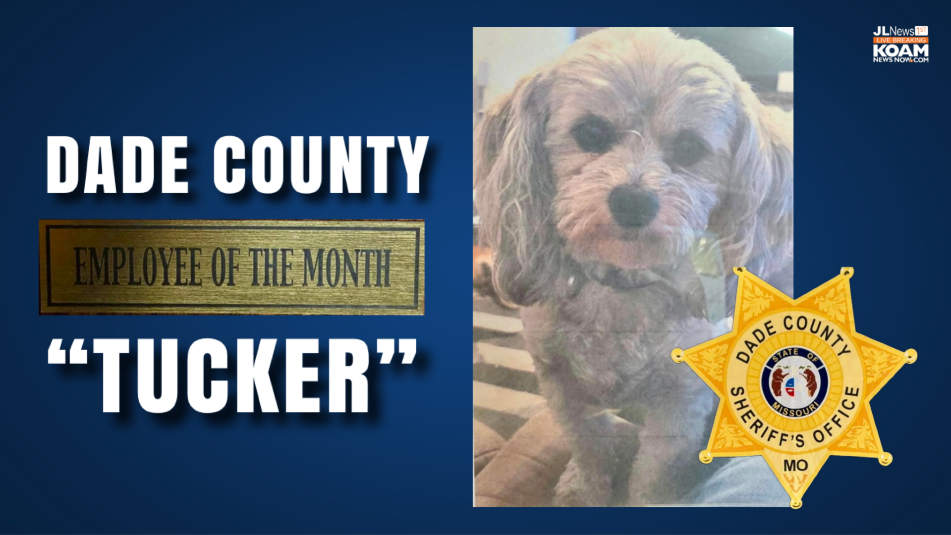 Dade County Sheriff’s Office Employee of the Month is a dog | Joplin ...