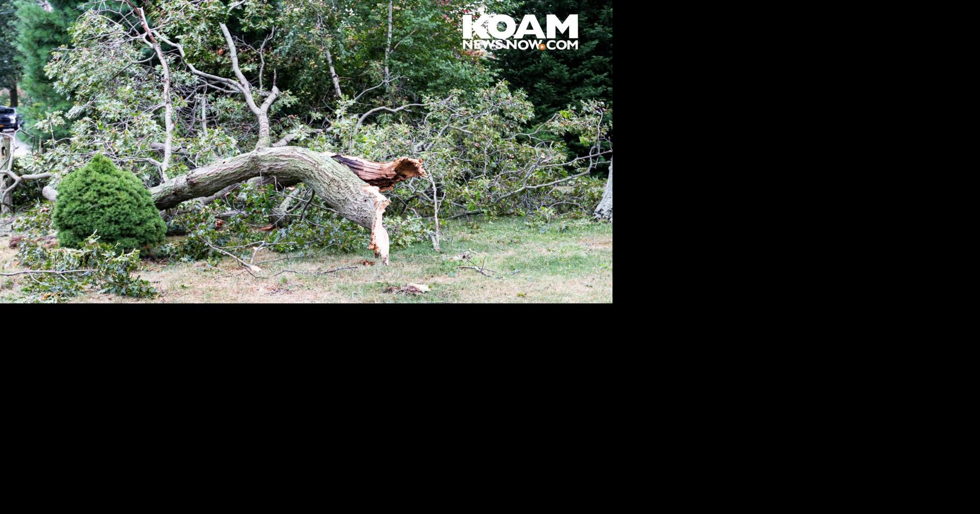 Joplin opens tree limb drop-off site early due to storms | Lifestyle ...