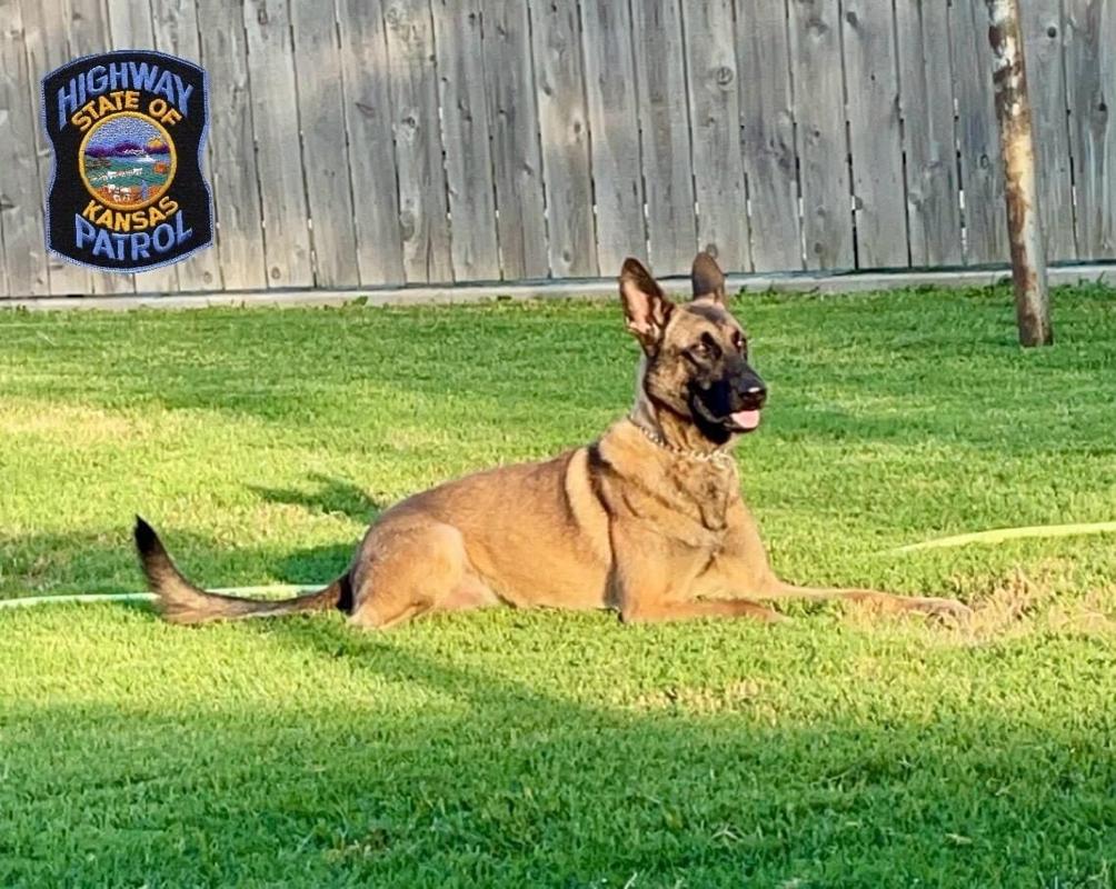 K9 Igor to Veterinary ICU after semi slammed Kansas Highway Patrol car ...