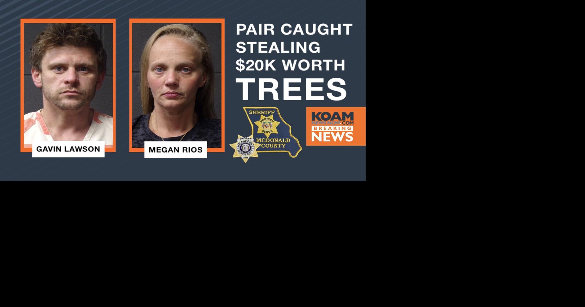 Felony charges to pair caught stealing trees, Sheriff says at least ...