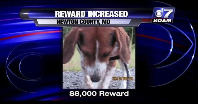 Humane Society raises reward in Neosho dog abuse case | Lifestyle ...
