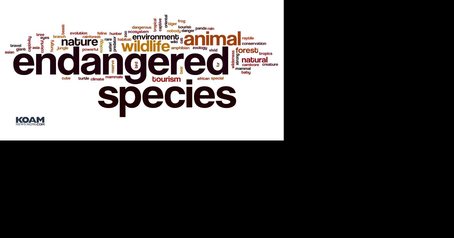 As the Endangered Species Act turns 50, those who first enforced it ...