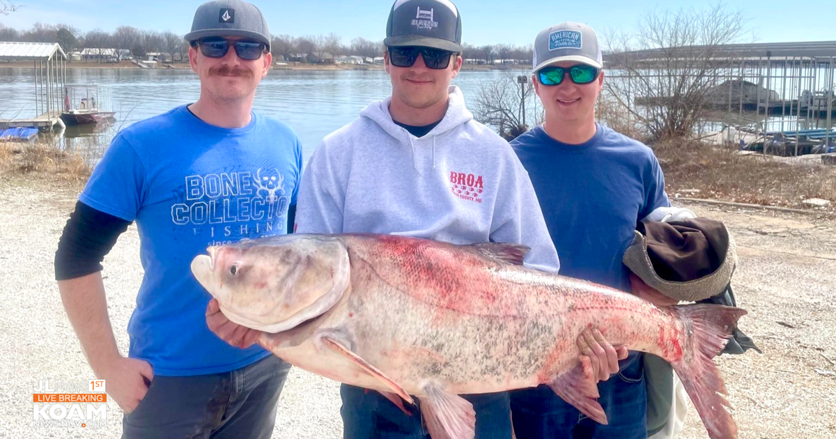 64-pound Bighead Carp caught on Grand Lake; Biologists request don’t ... 64-pound Bighead Carp caught on Grand Lake; Biologists request don’t ...