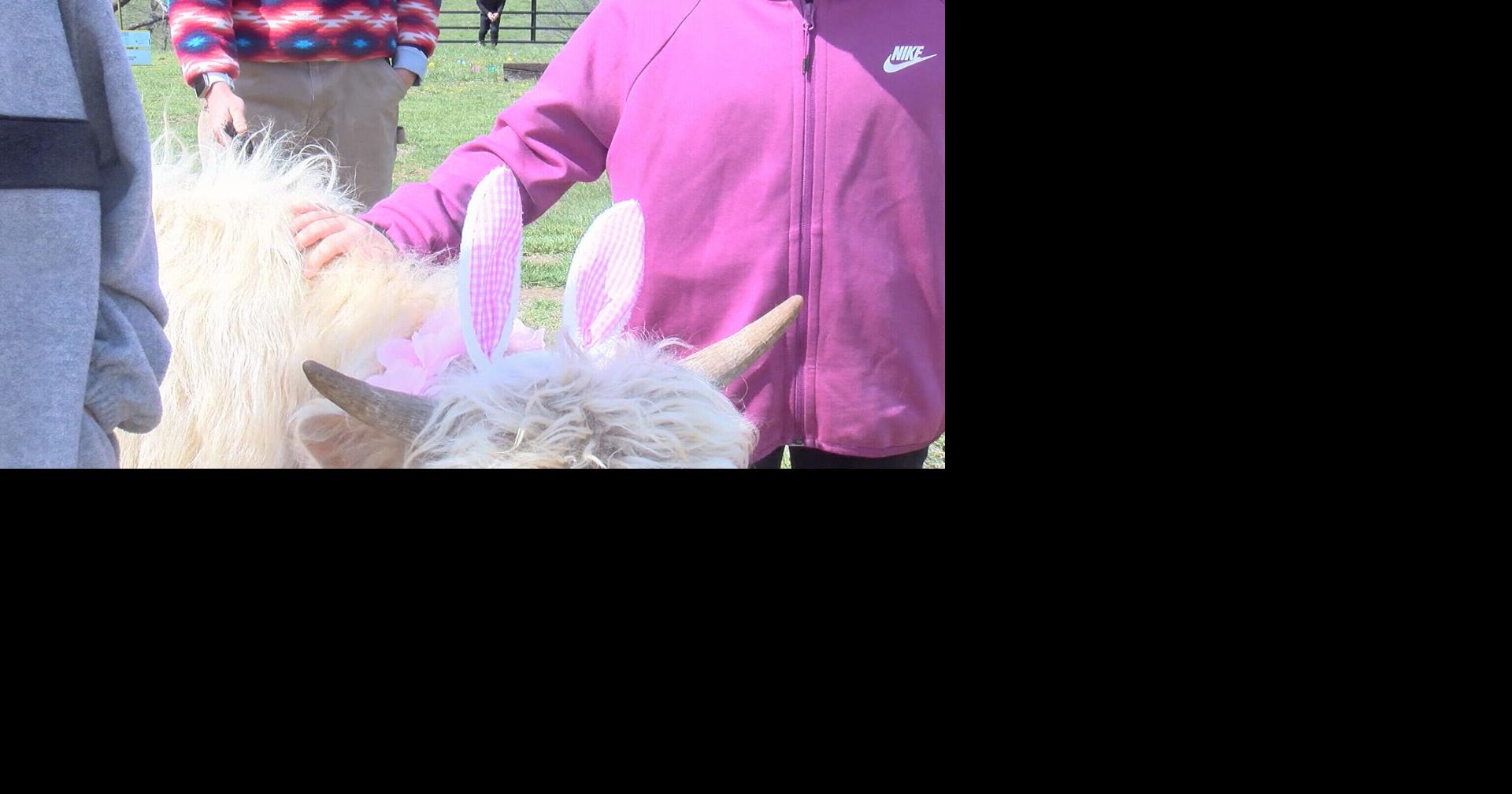 Easter at the Farm 1.jpg | | koamnewsnow.com