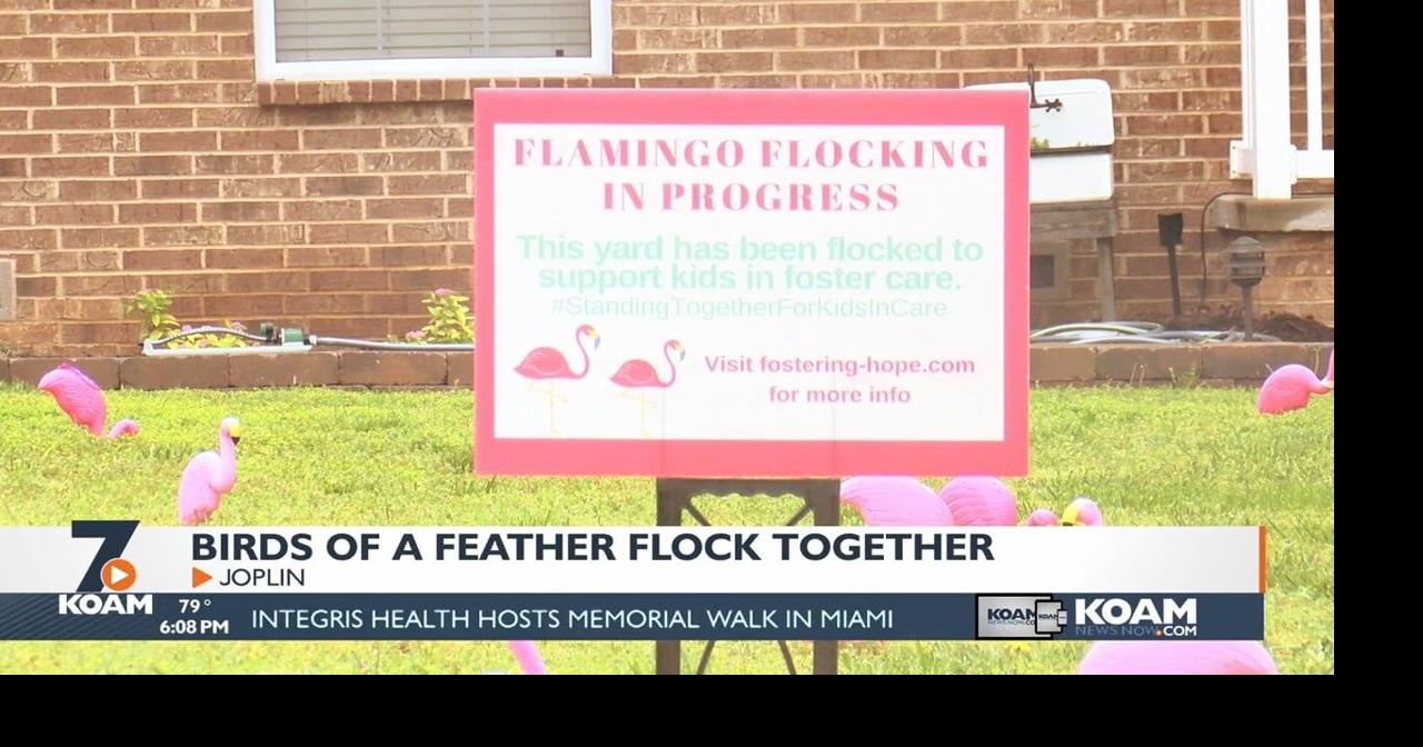 Flocking together | Local News | koamnewsnow.com