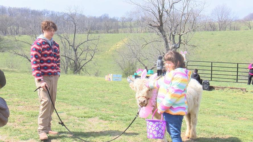 Easter at the farm: Nearly 1,000 show to meet cows, egg hunt | Top ...