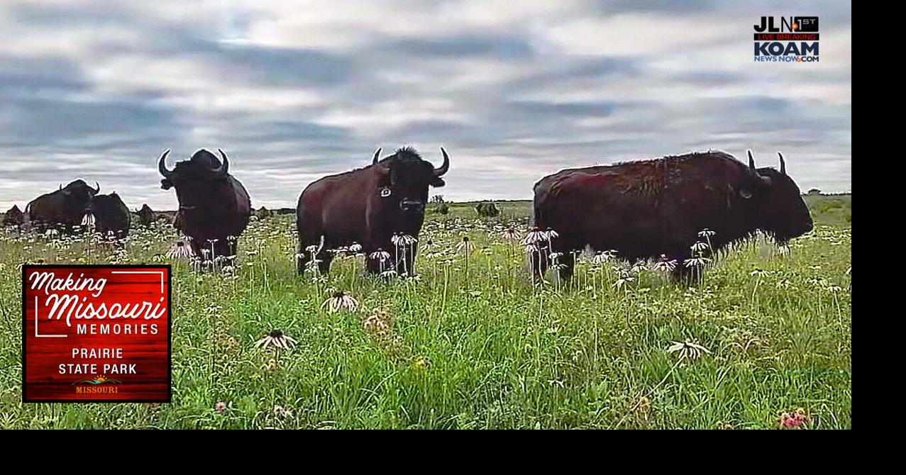 National Prairie Day, Prairie State Park is a place you should visit ...