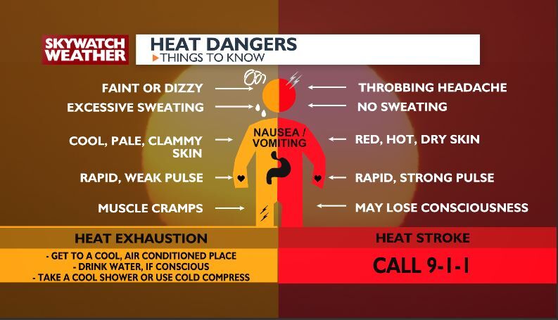 Stay hydrated and beat the heat: experts tips for a healthy summer ...