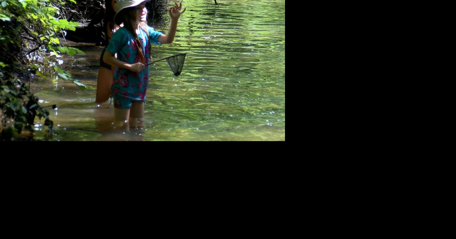 Kids and crawdads: Youth learn about Missouri native species | Local ...